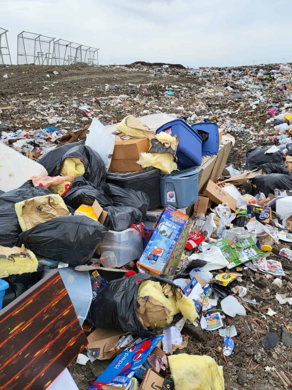A Quick Guide on How Properly Dispose House Waste